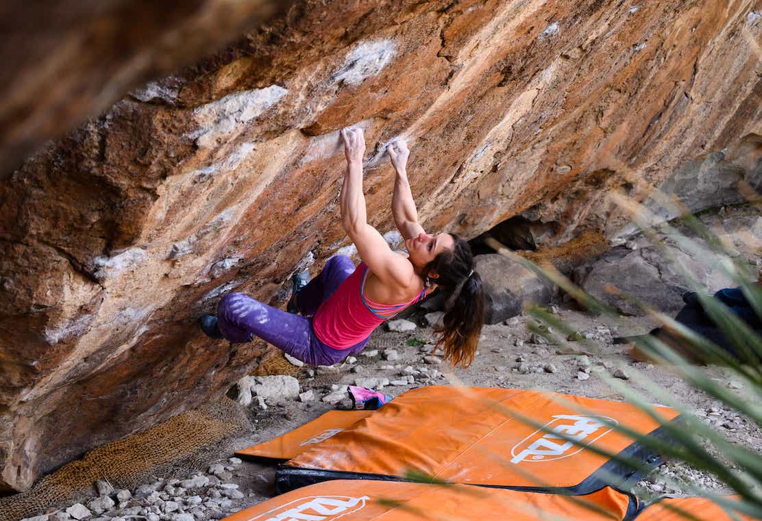 Alex Puccio